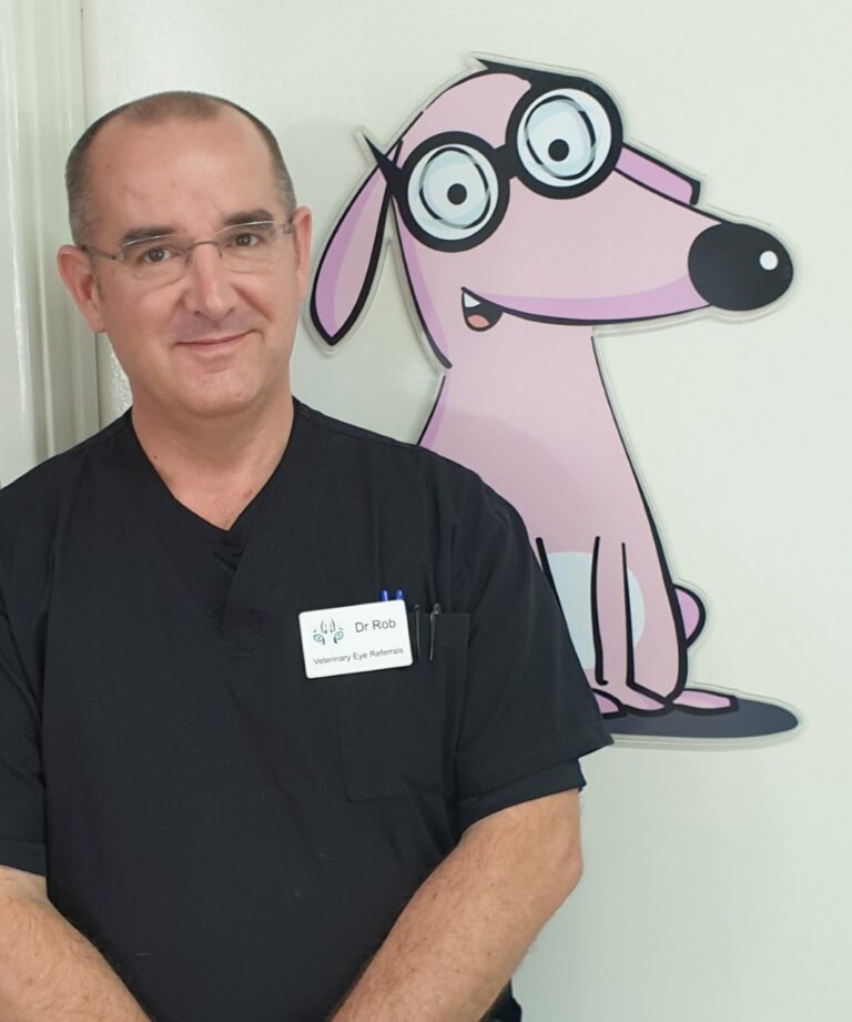 Meet Our Fun Loving Team | Your Pets Vet